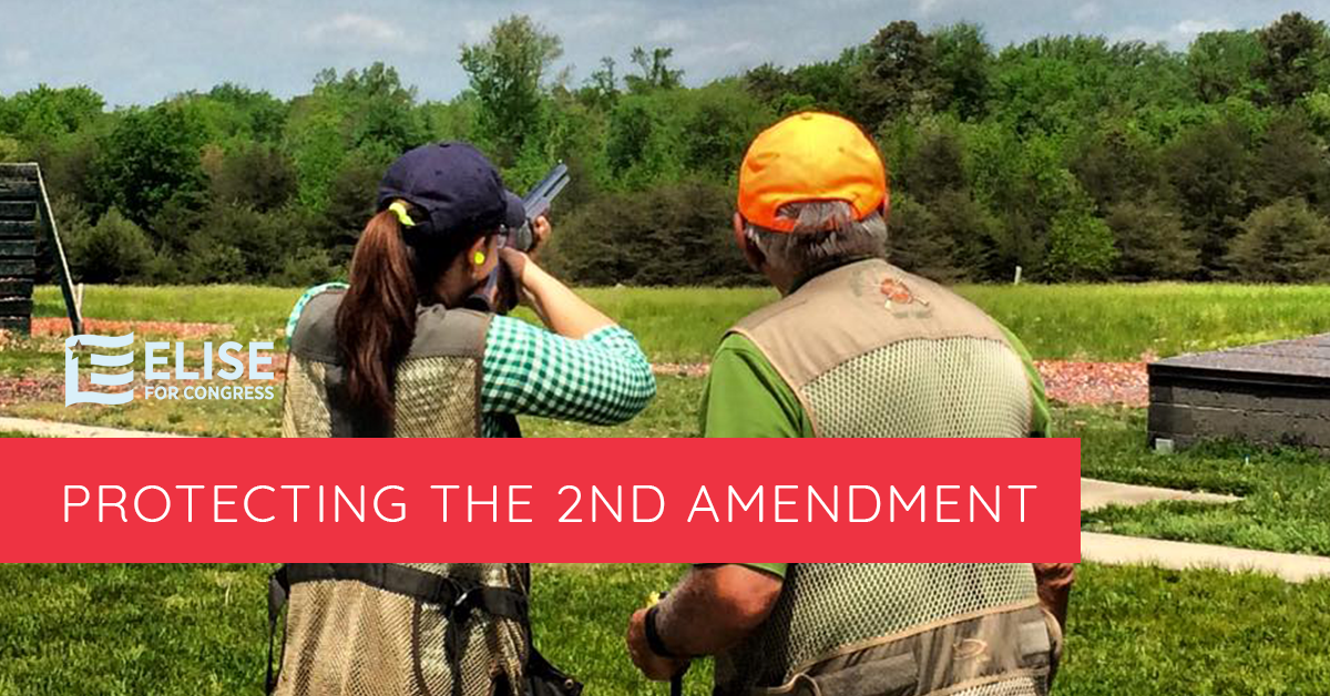 Protecting the 2nd Amendment - Elise for Congress